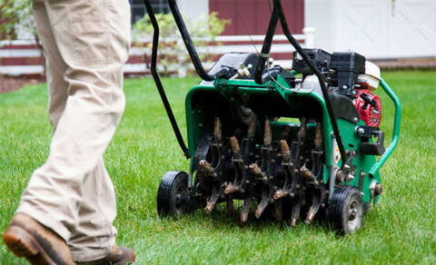 Aeration and Dethatch Services Serving Pocatello and Chubbuck Idaho ...